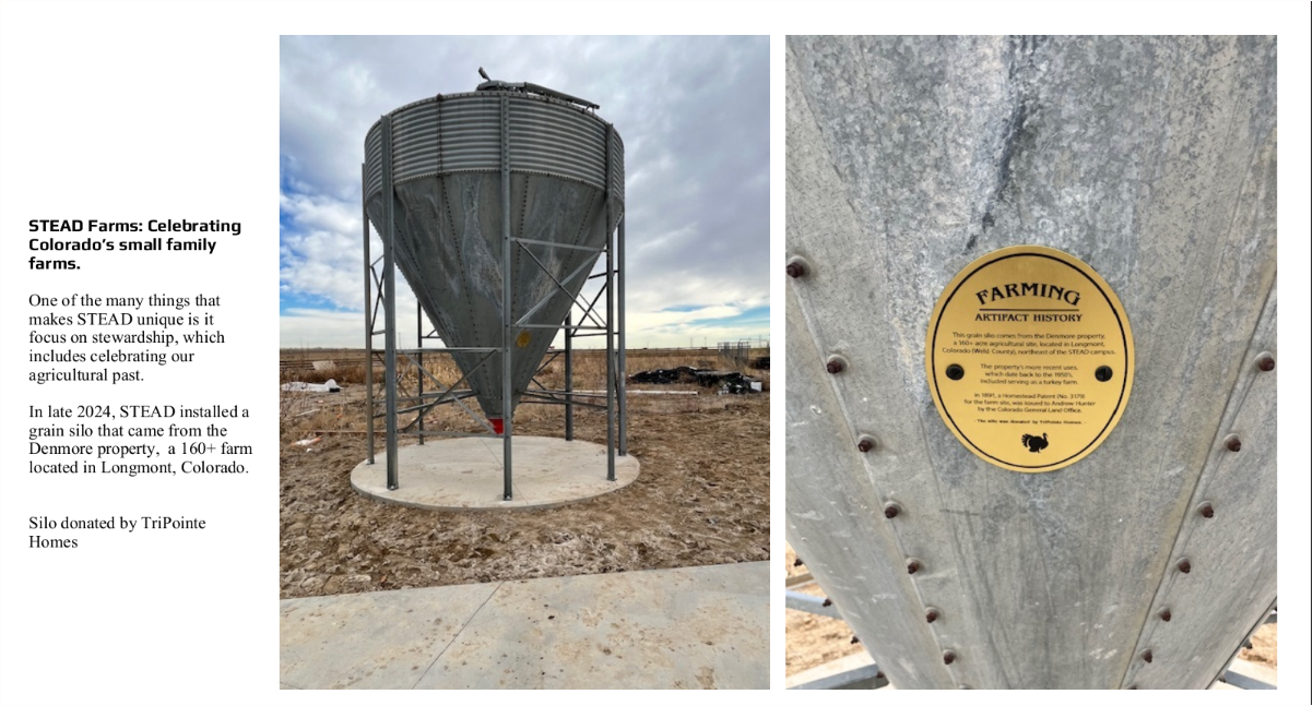 Construction Update - The STEAD School