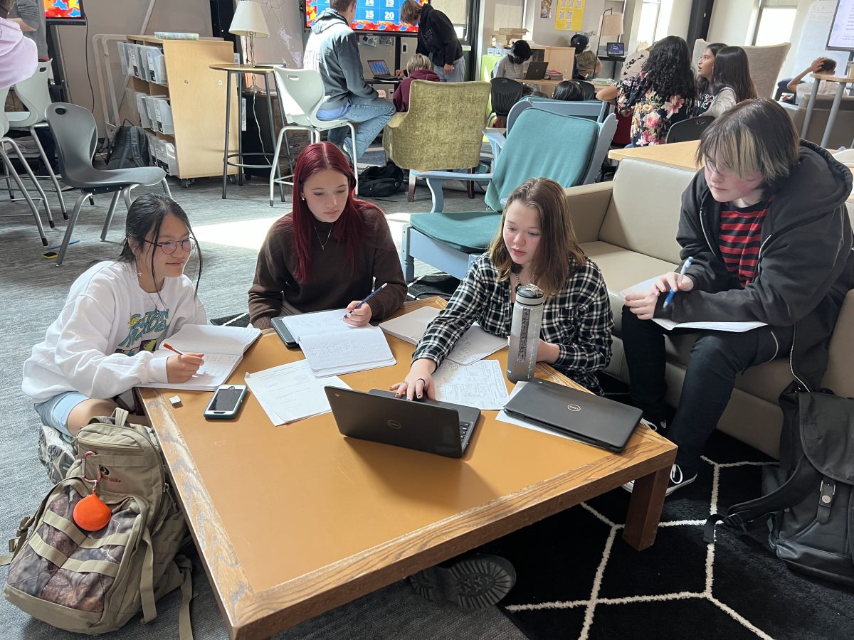 Our Work - The STEAD School