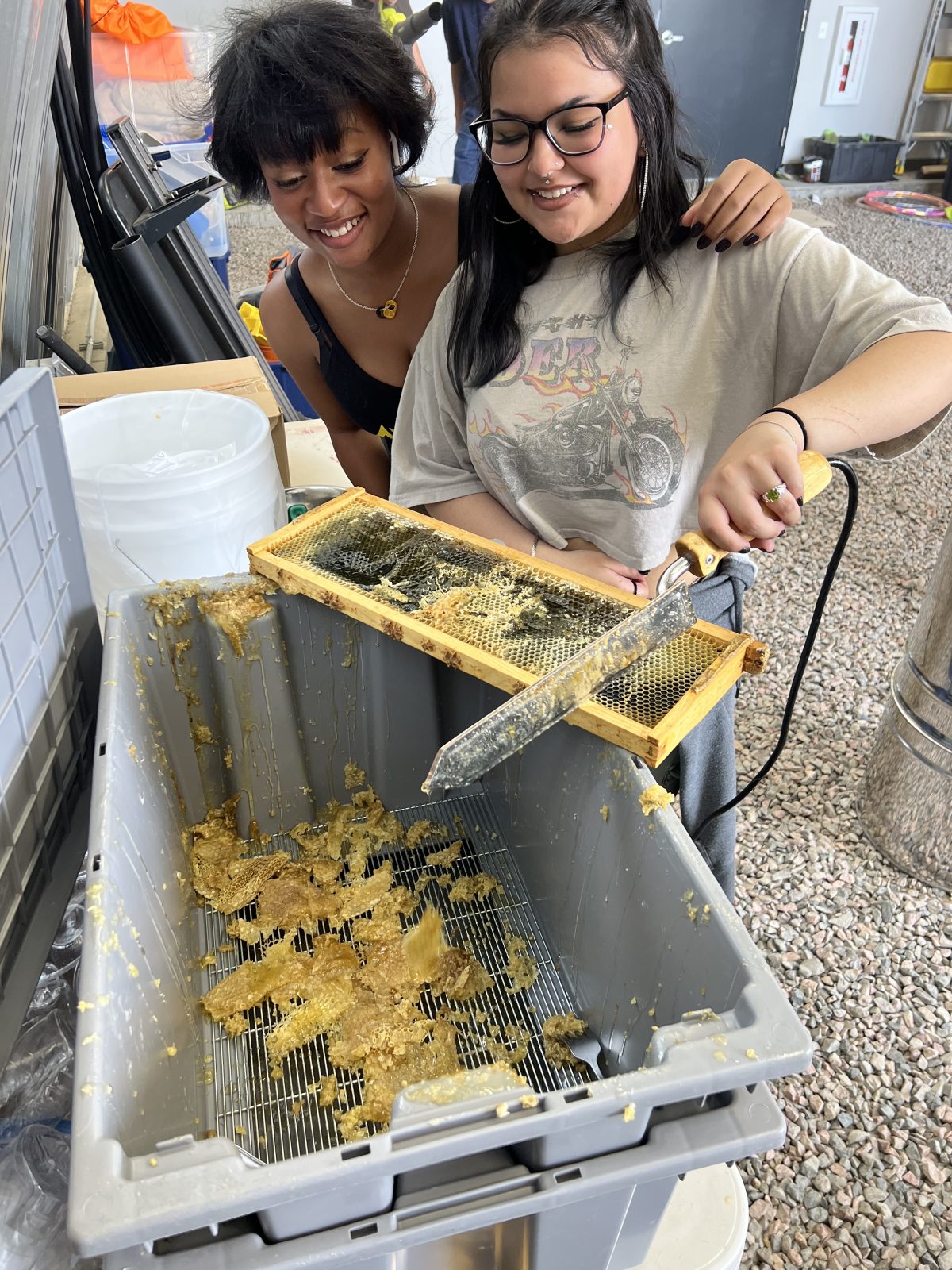 Our Work - The STEAD School