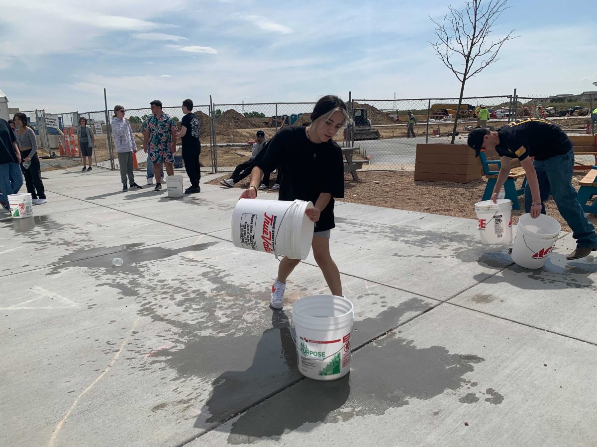 Our Work - The STEAD School